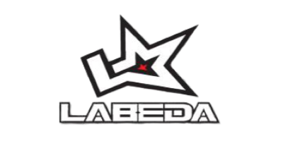 Labeda Haockey Logo | Atenx Sports